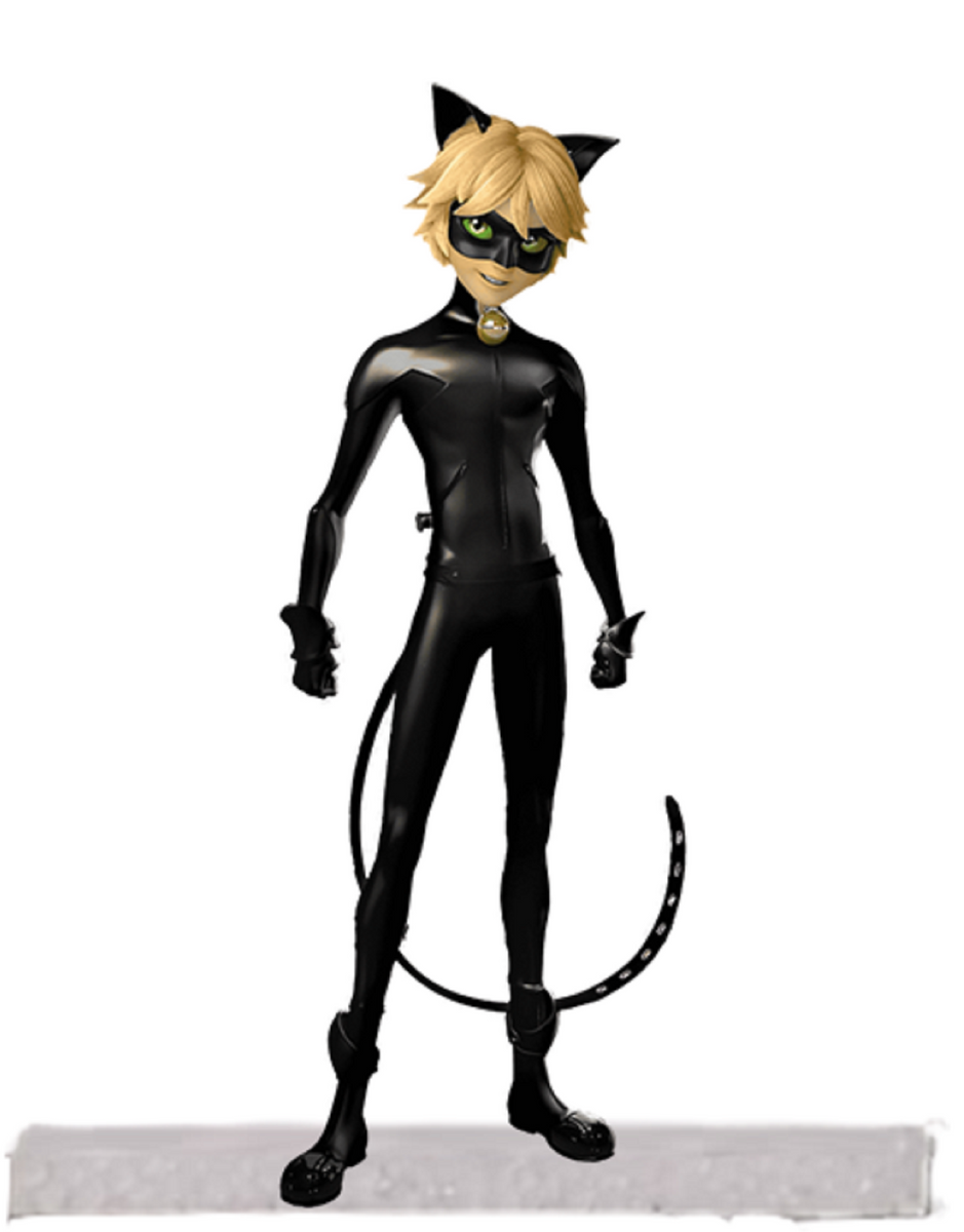 SAGOMA CHAT NOIR IN POLISTIROLO PERSONALIZZATA – Customprintshopping
